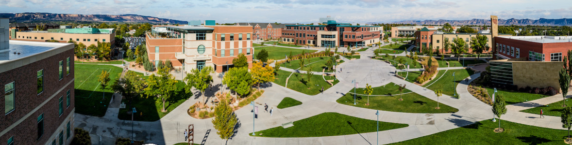 AO - Mesa Experience